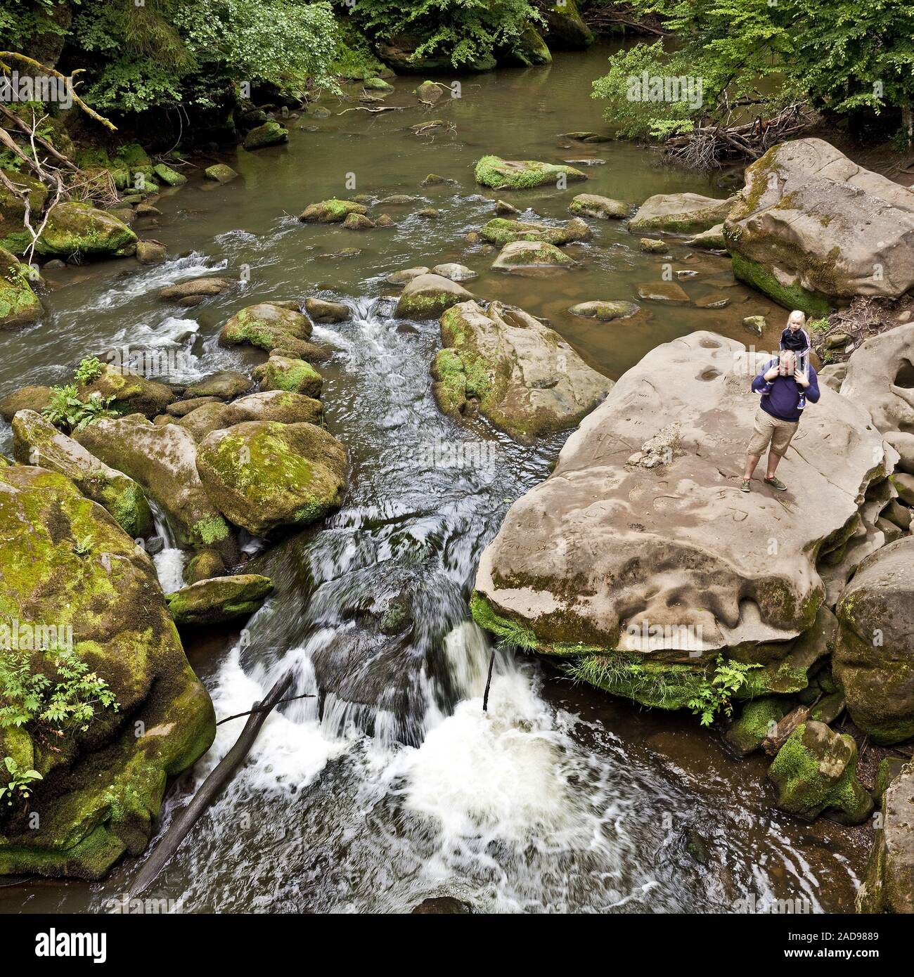 Rapids genannt Irreler Wasserfälle der Naturpark Südeifel, Irrel, Eifel ...