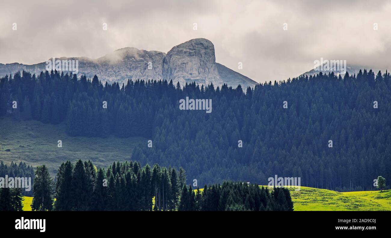 Appenzeller alpen -Fotos und -Bildmaterial in hoher Auflösung – Alamy
