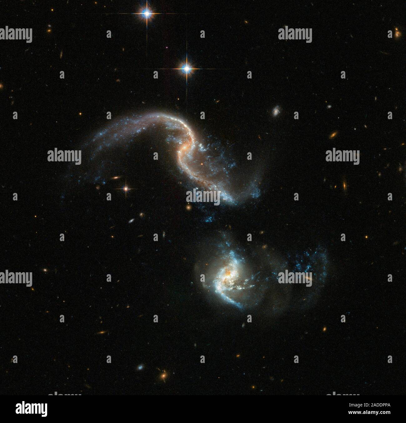 Kollidierenden Galaxien Arp 256, Hubble Space Telescope (HST) Bild. Arp ...
