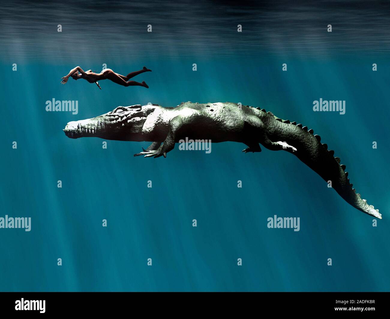 Deinosuchus Krokodil. Computer Artwork von deinosuchus Unterwasser, mit ...