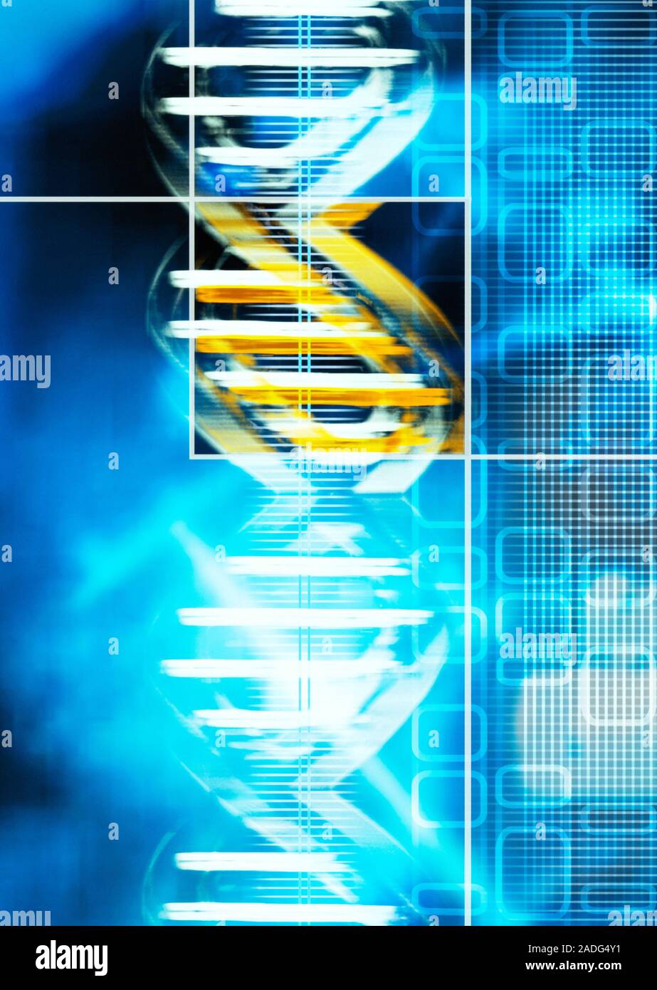 DNA-Molekül. Computer Artwork der molekularen Struktur der DNS ...