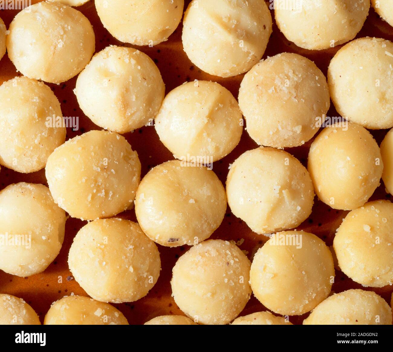 Gesalzene Macadamianüsse. Diese Mutter - wie Samen sind die Frucht des ...