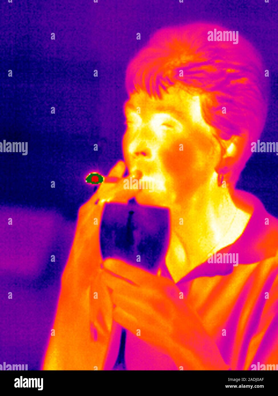 Rauchen und Trinken. Thermogramm einer Frau das Rauchen einer Zigarette ...