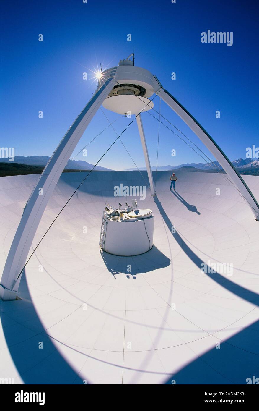 Owens Valley VLBA Radioteleskop. Man steht auf die Parabolantenne eines ...