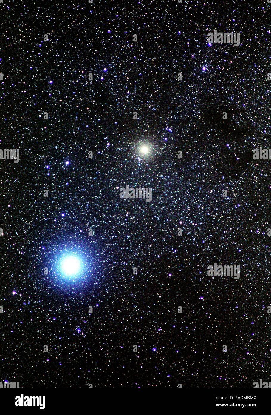 Altair und tarazed Sterne. Diese Sterne liegen im Sternbild Aquila, der ...