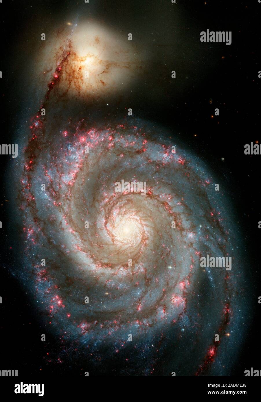Whirlpool Galaxie (M51), Hubble Space Telescope Bild. Die große ...