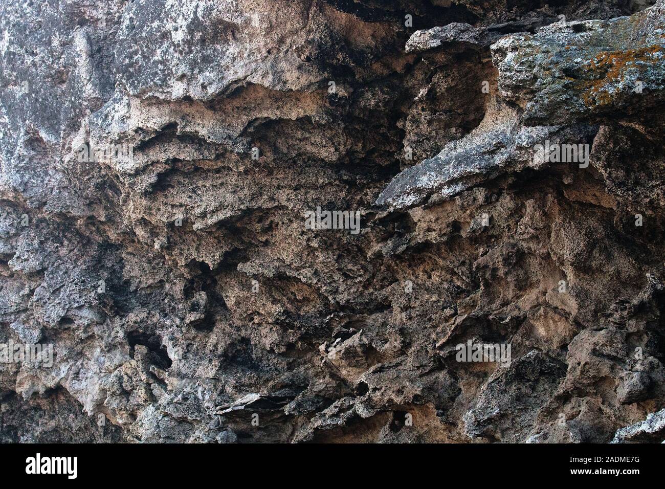 Geologie. Malancolie bryozoan Kalkstein (Kalke) der Halbinsel Kertsch ...