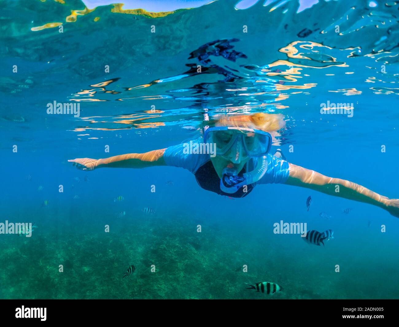 Frau apnoetauchen -Fotos und -Bildmaterial in hoher Auflösung – Alamy