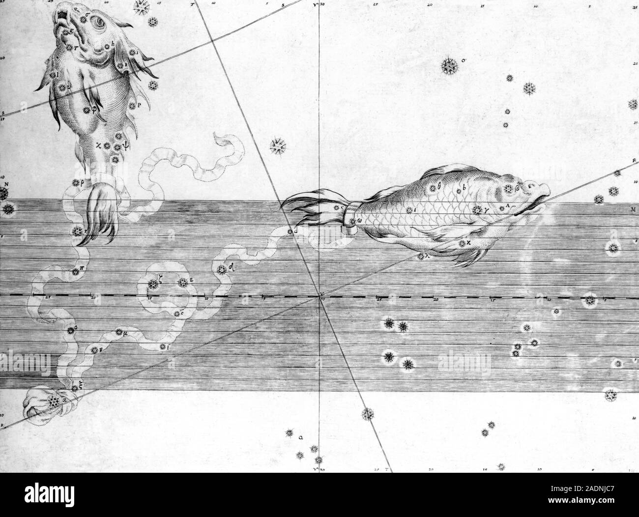 Fische Sternbild, Kunstwerke aus dem 17. Jahrhundert. Fische ist einer ...