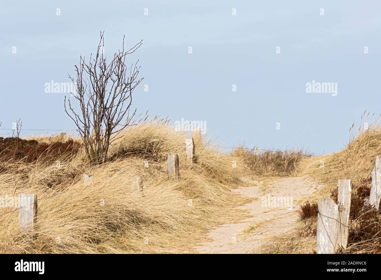 Morsum kliff sylt schleswig holstein germany -Fotos und -Bildmaterial ...