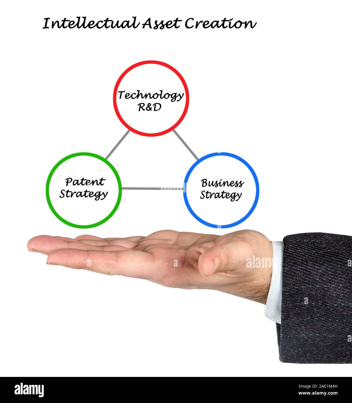 Intellectual creation -Fotos und -Bildmaterial in hoher Auflösung – Alamy