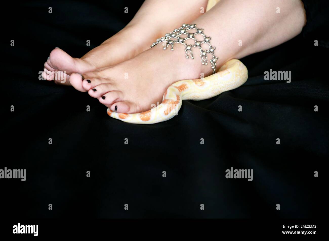 Weibliche Bein mit Schlange. Boa constrictor Albino slithers über ...