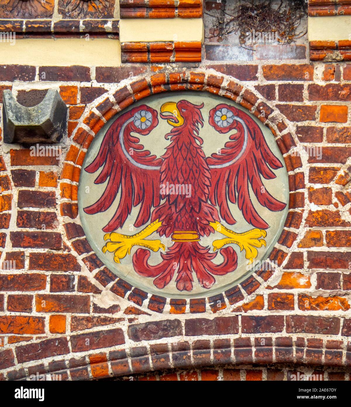 Traditioneller deutscher adler -Fotos und -Bildmaterial in hoher ...