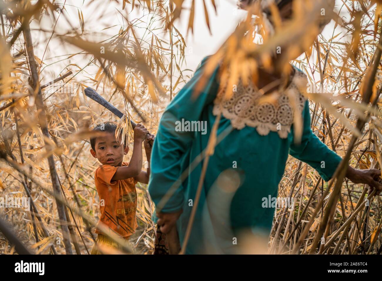Brandrodung regenwald -Fotos und -Bildmaterial in hoher Auflösung – Alamy