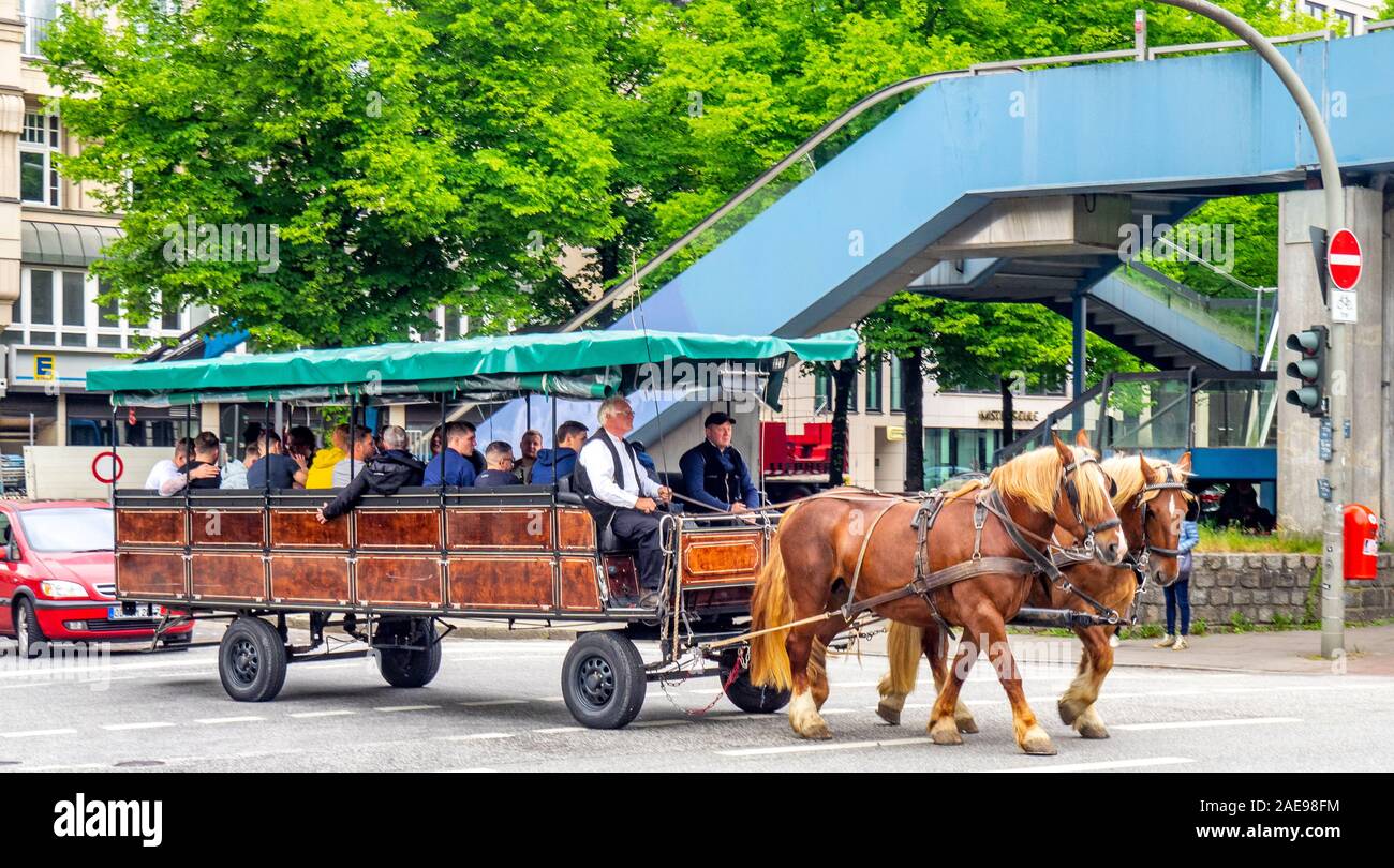 Zwei clydesdale Pferde ziehen eine Kutsche voller Touristen in der ...