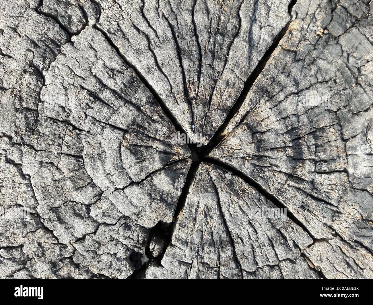 Angelrisse -Fotos und -Bildmaterial in hoher Auflösung – Alamy