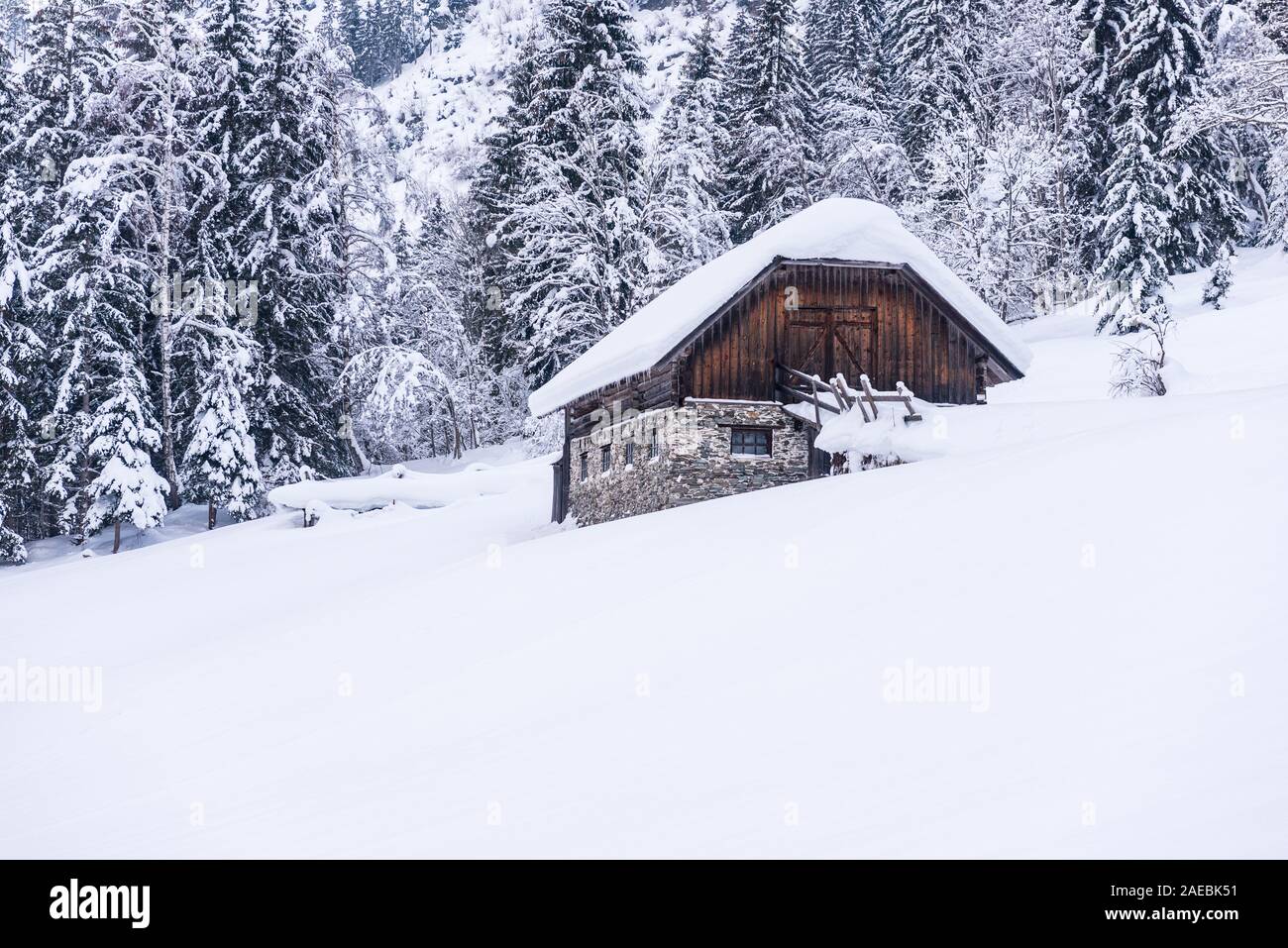 Stall im winter mit schnee und wald -Fotos und -Bildmaterial in hoher ...