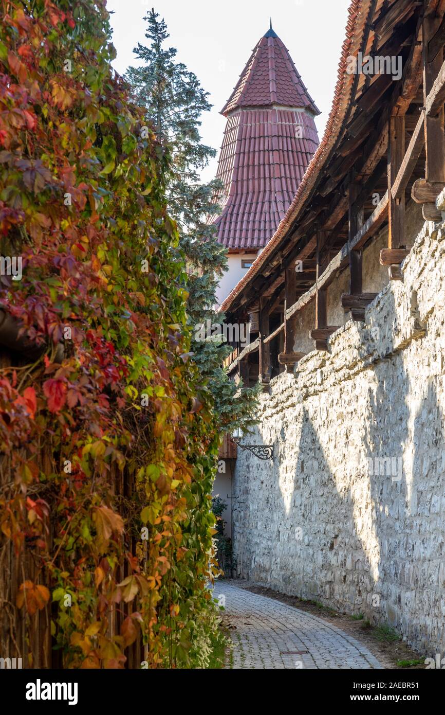 Berching bavaria -Fotos und -Bildmaterial in hoher Auflösung - Seite 2 ...