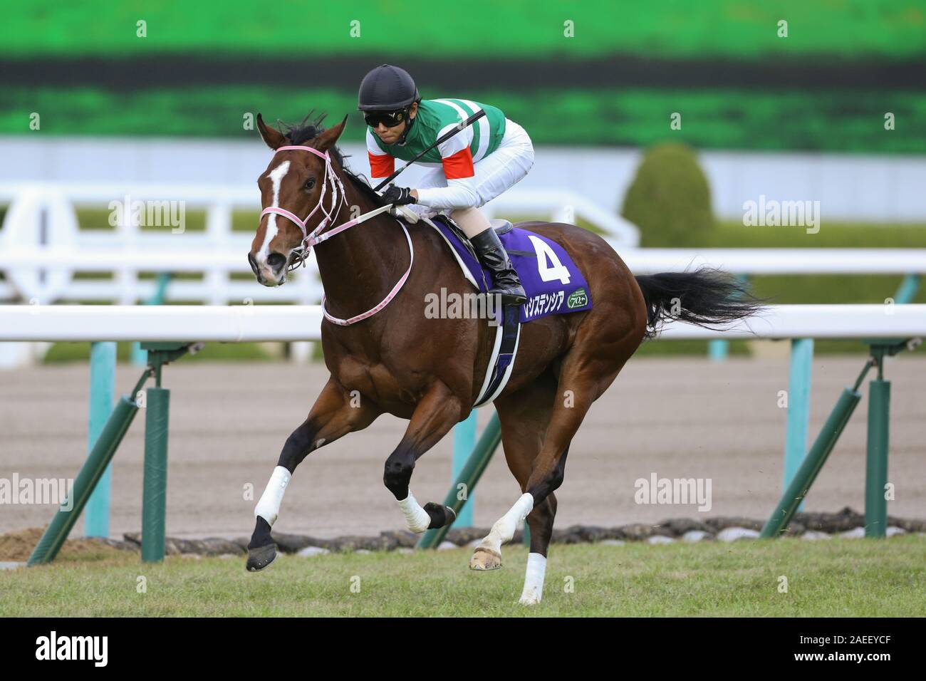 Kobe, Japan. 8 Dez, 2019. Resistencia (Yuichi Kitamura) Pferderennen ...