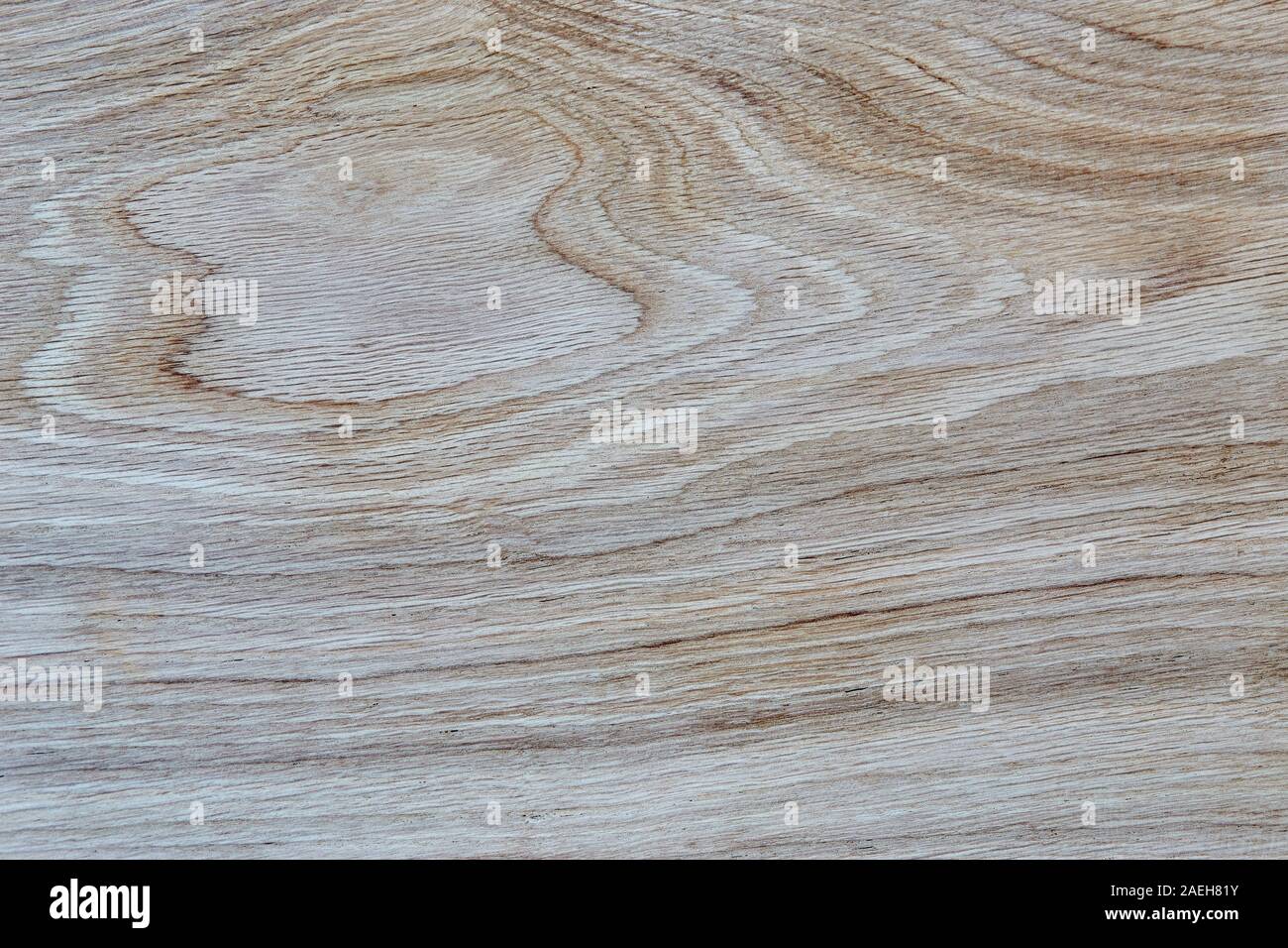 Oak wood texture -Fotos und -Bildmaterial in hoher Auflösung – Alamy