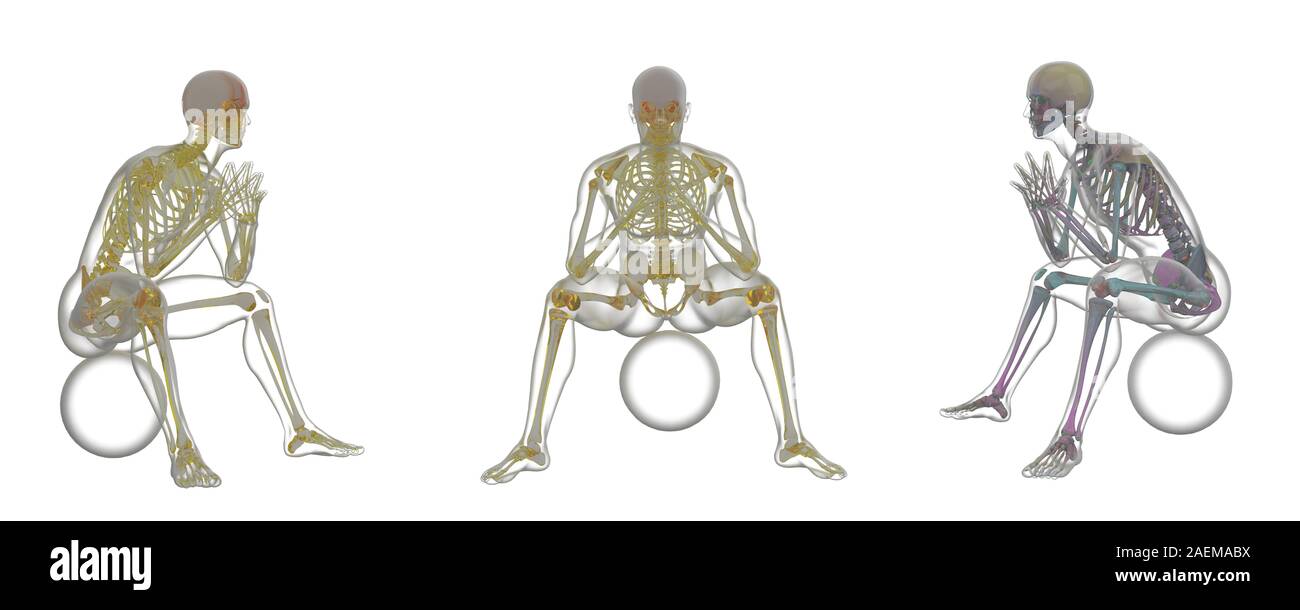 3D Rendering Illustration von skelett knochen Anatomie Stockfotografie ...