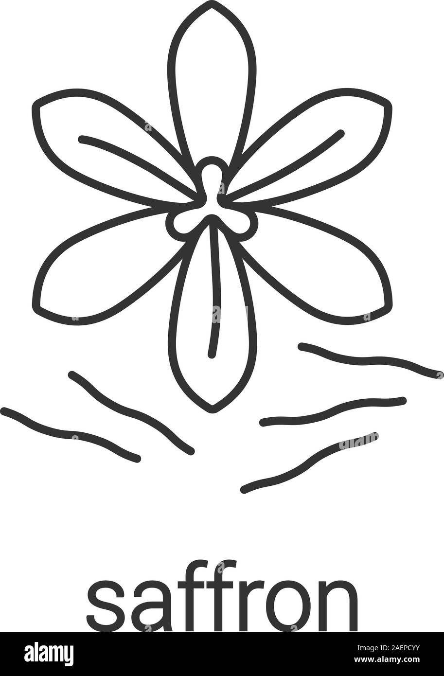 Safran lineare Symbol. Dünne Linie Abbildung. Crocus. Kontur Symbol ...