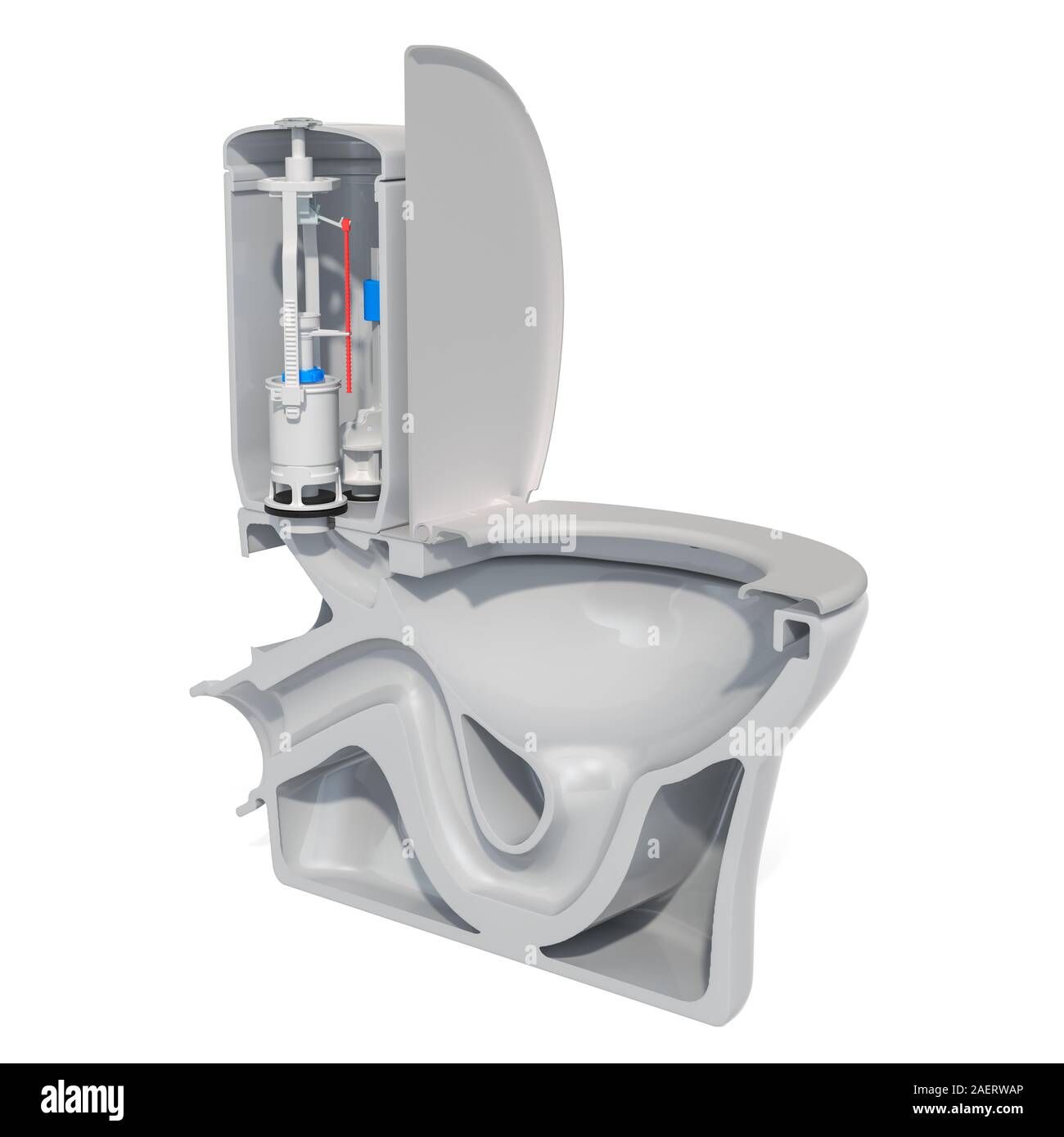 Querschnitt der WC-Schüssel, 3D-Rendering auf weißem Hintergrund ...