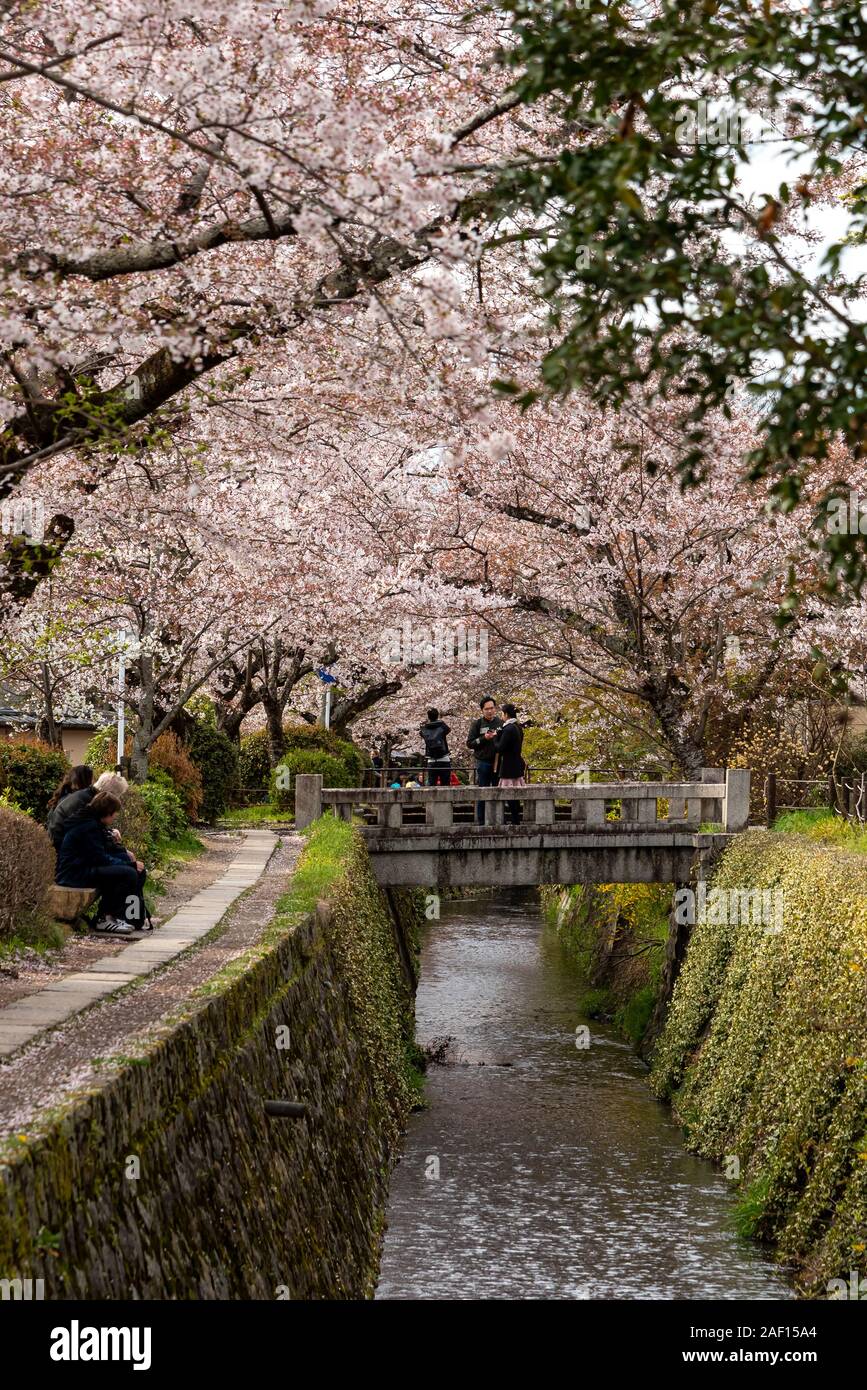 Philosophers walk in kyoto japan -Fotos und -Bildmaterial in hoher ...