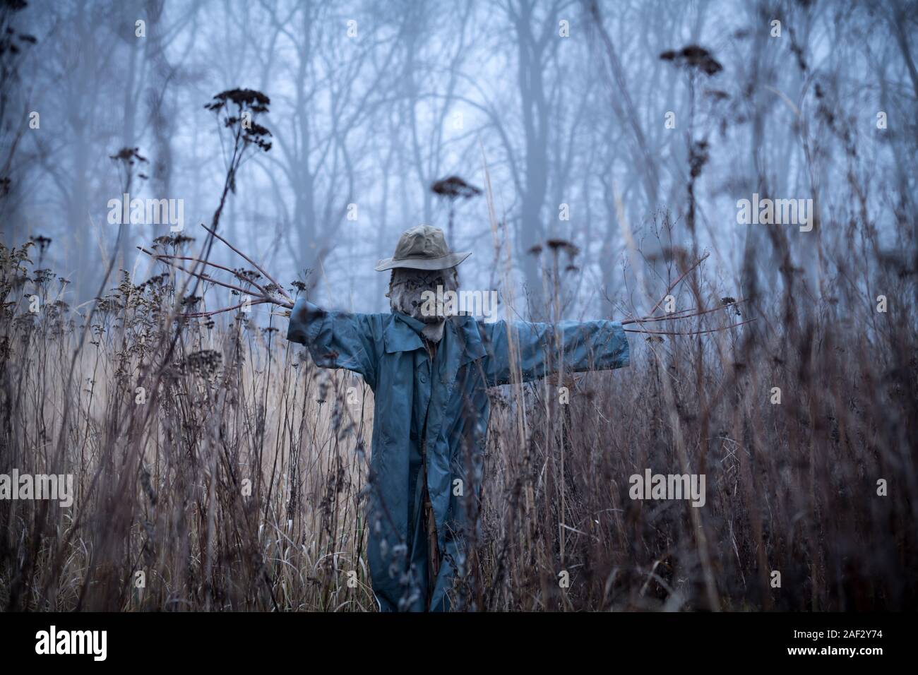 Steht im hohen gras -Fotos und -Bildmaterial in hoher Auflösung – Alamy