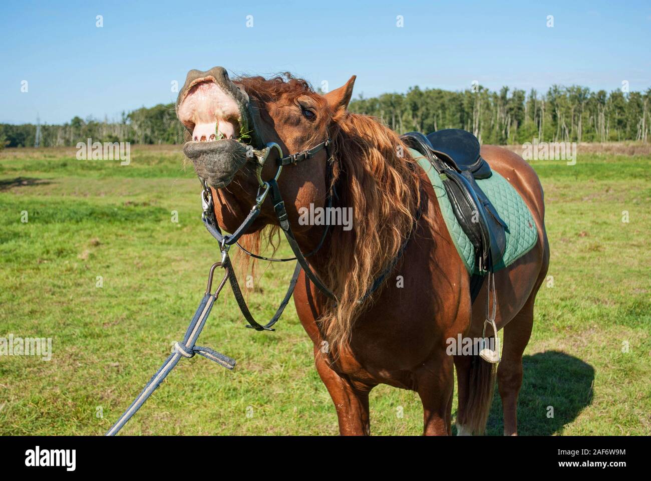 Herbst flugshow -Fotos und -Bildmaterial in hoher Auflösung – Alamy