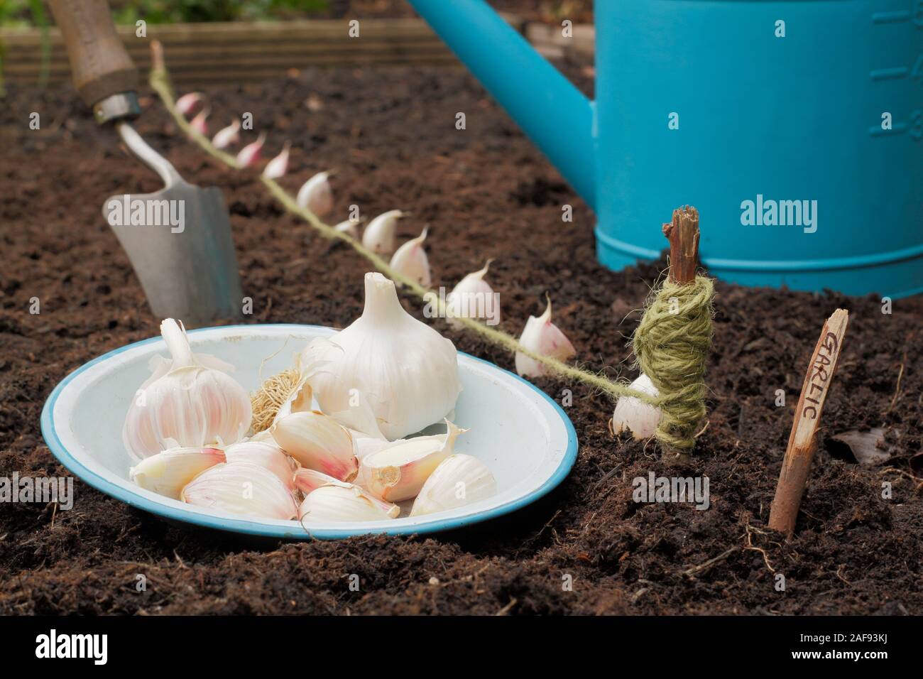 Lautrec wight knoblauch -Fotos und -Bildmaterial in hoher Auflösung – Alamy