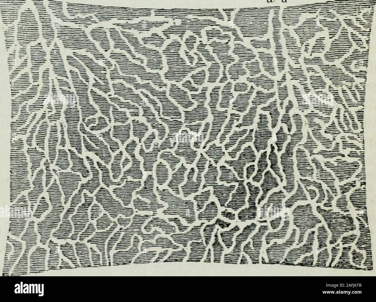 Untere mani -Fotos und -Bildmaterial in hoher Auflösung – Alamy