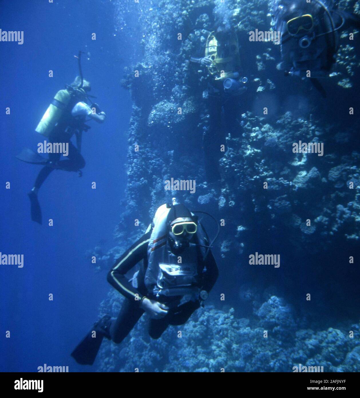 1980er jahre tauchen -Fotos und -Bildmaterial in hoher Auflösung – Alamy