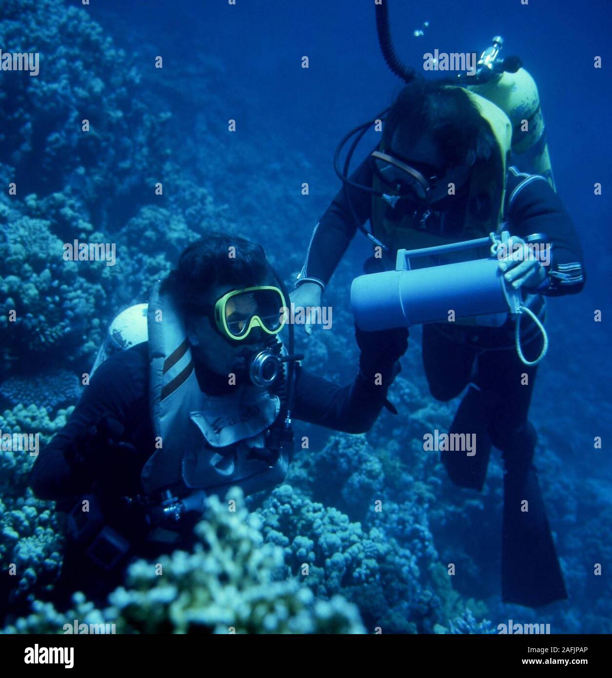 Taucher mit großen Lampe unter Wasser im Roten Meer auf der Halbinsel ...