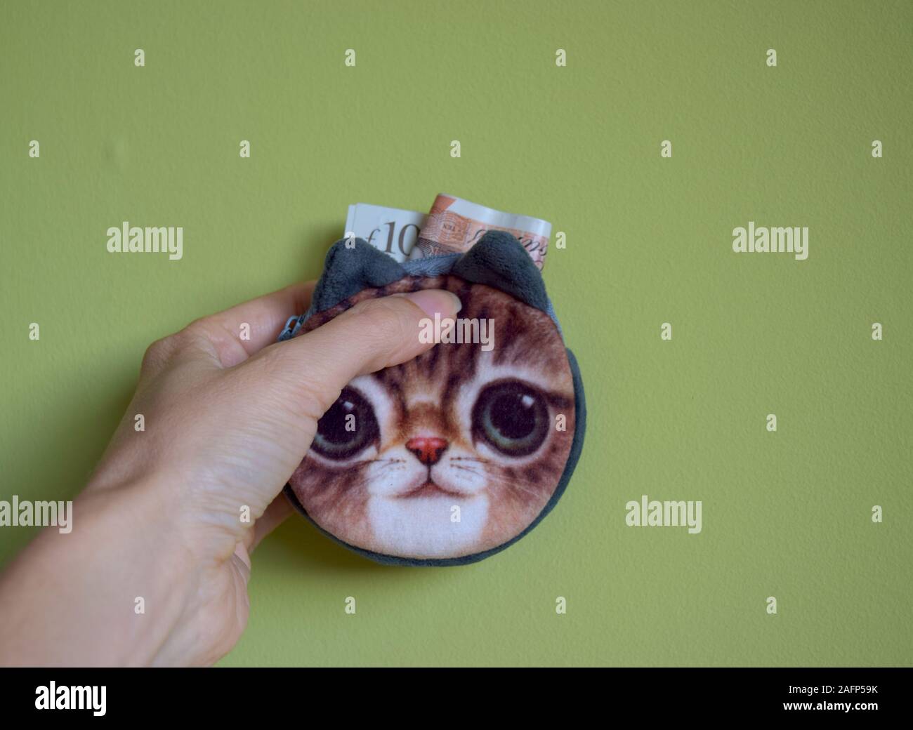 Weibliche Hand, die eine Katze Geldbeutel mit Britischen moderne ...