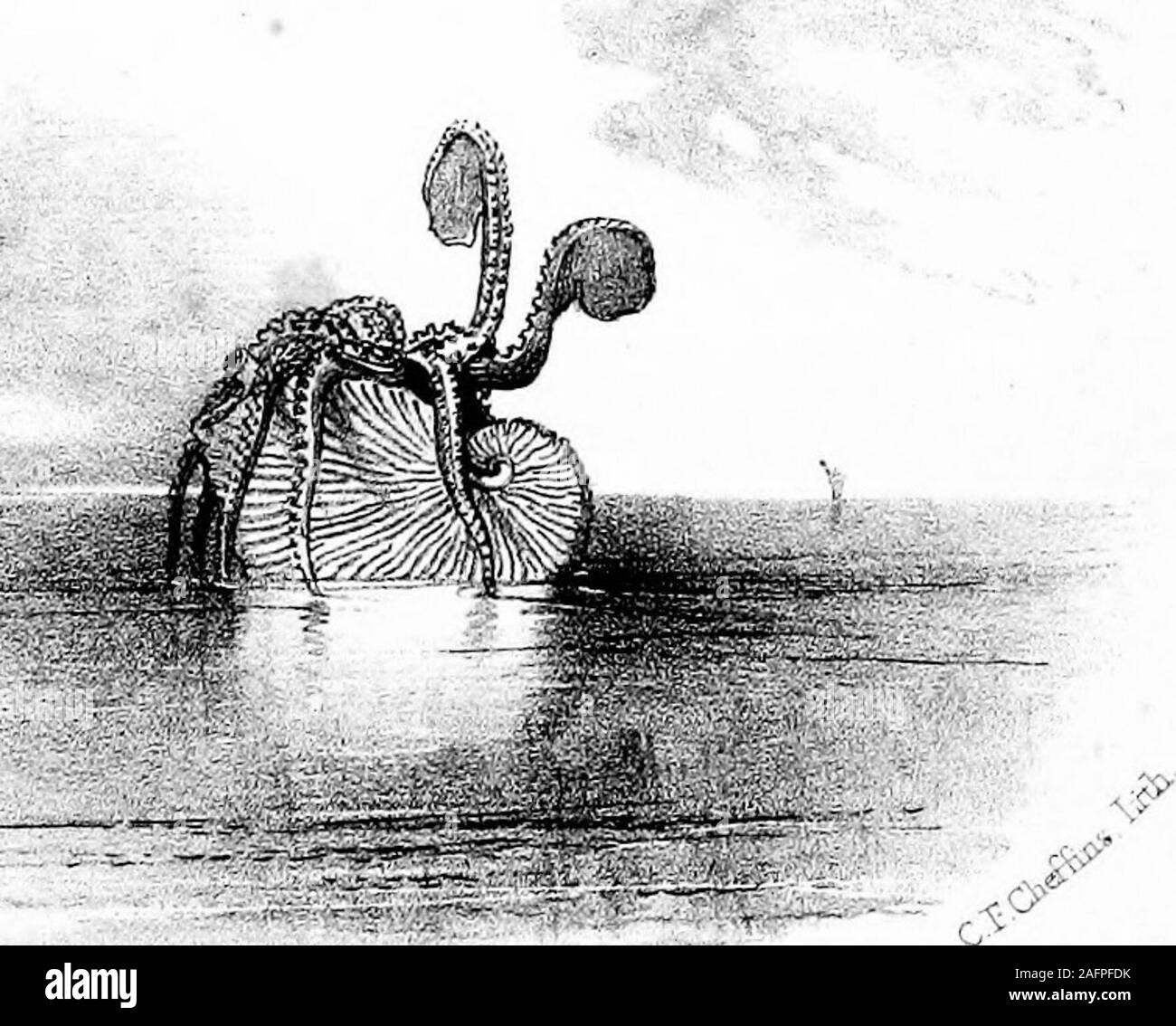 . Eine Skizze über die Entstehung und den Fortschritt der ...