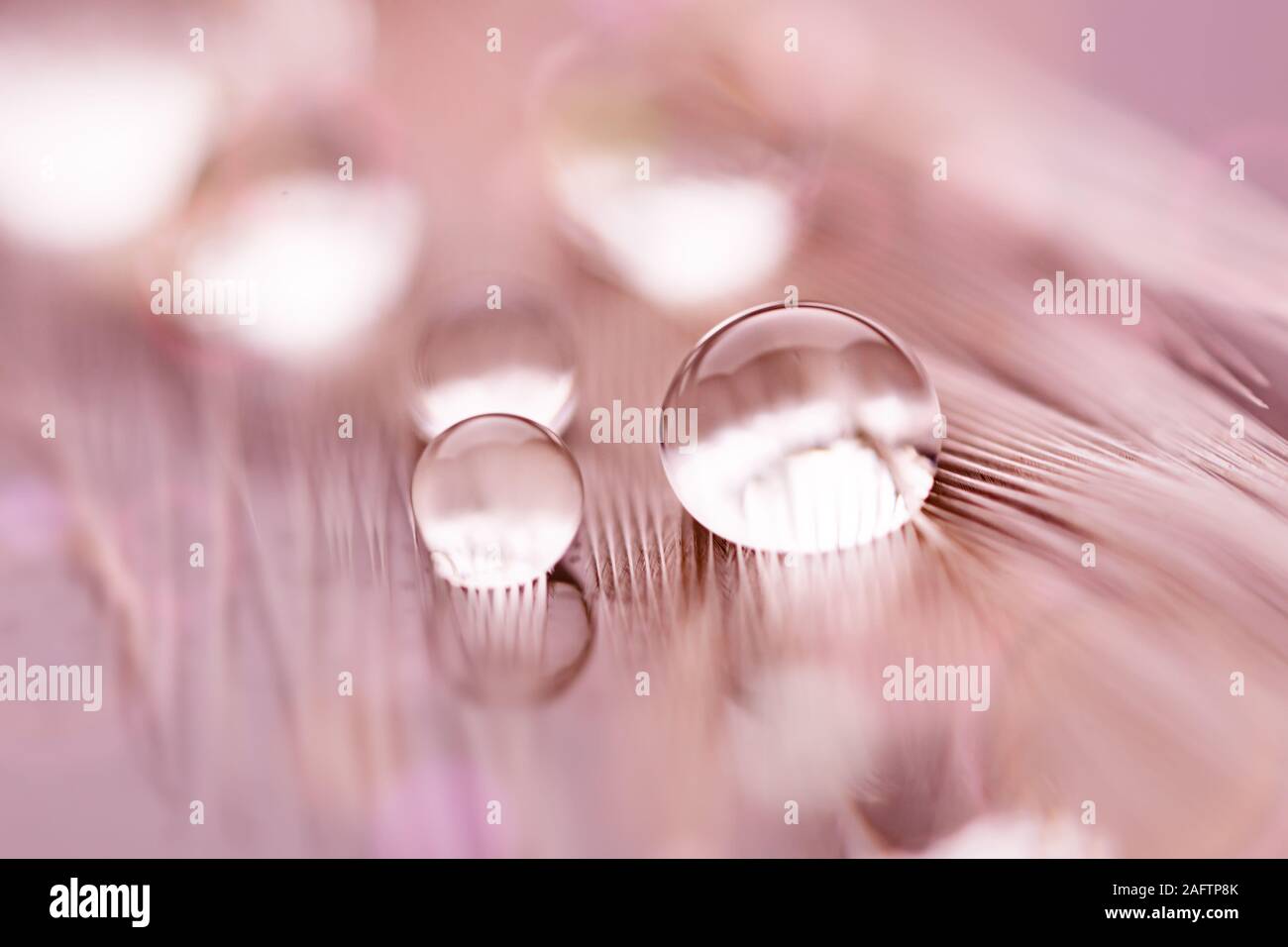 Horizontal desktop wallpaper pattern -Fotos und -Bildmaterial in hoher Auflösung – Alamy