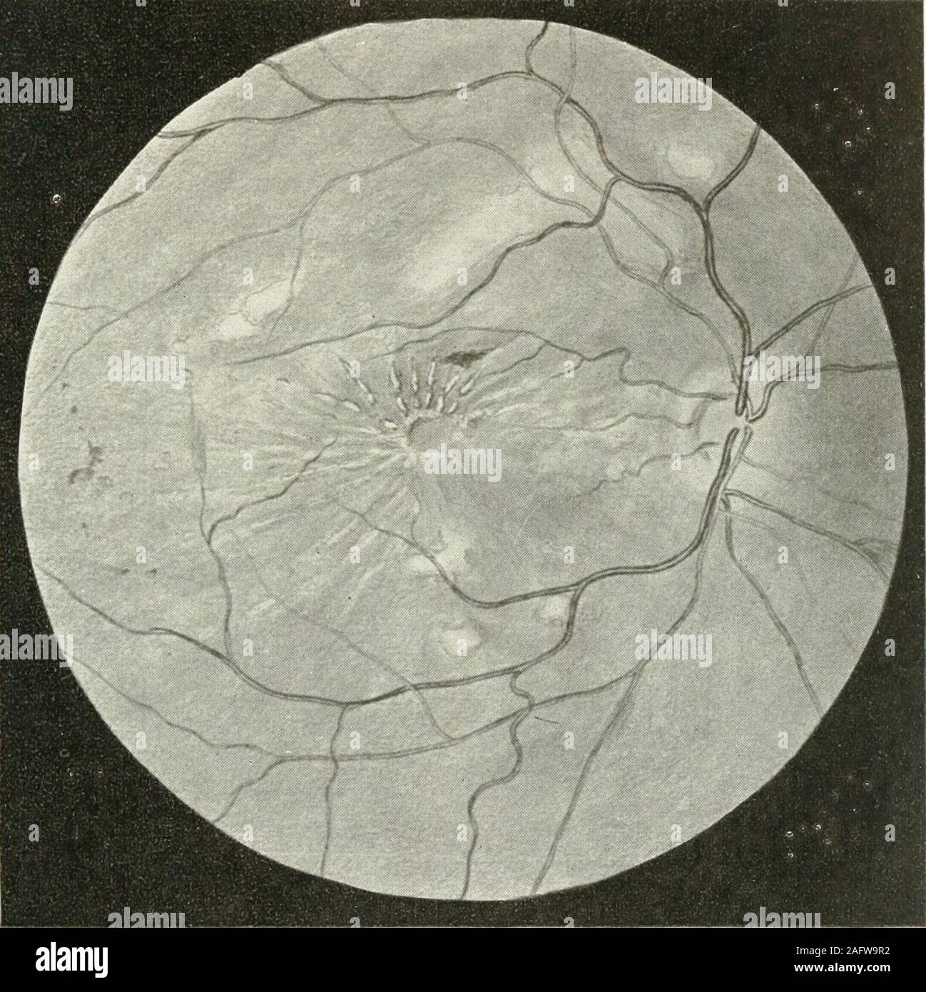 Estadística estadística -Fotos und -Bildmaterial in hoher Auflösung – Alamy