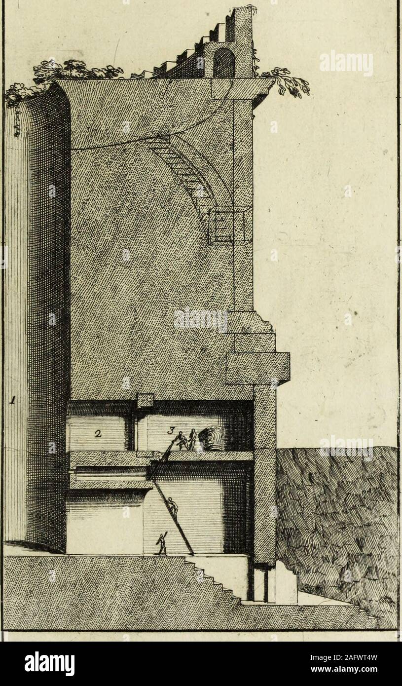 Palmi romani -Fotos und -Bildmaterial in hoher Auflösung – Alamy
