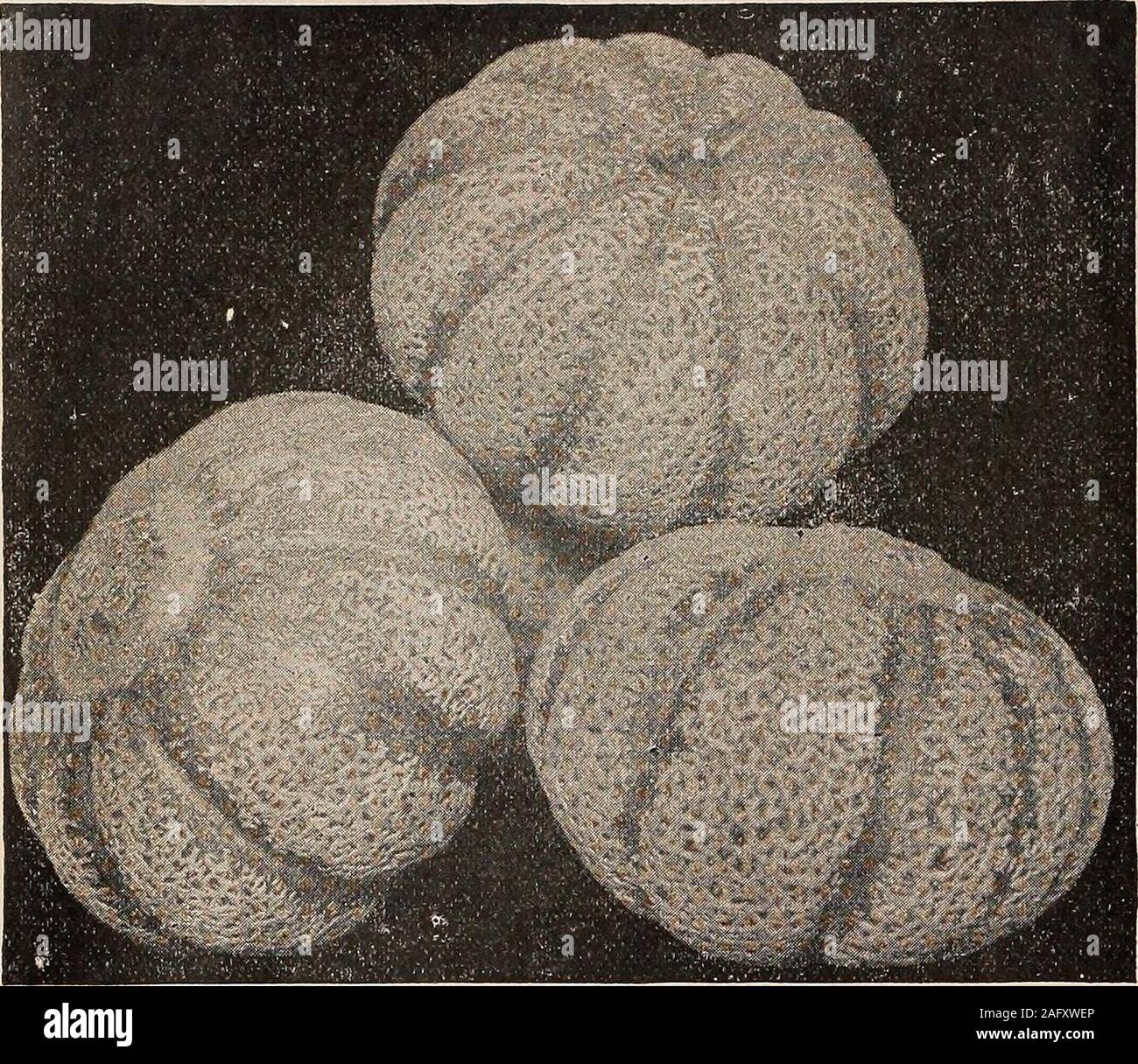 . Katalog der Gemüse- und Blumensamen: Kataloge kostenlos für alle. Ich ...