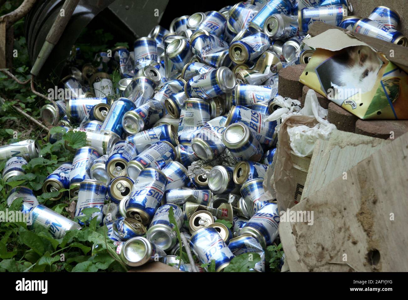 Haufen bierdosen -Fotos und -Bildmaterial in hoher Auflösung – Alamy