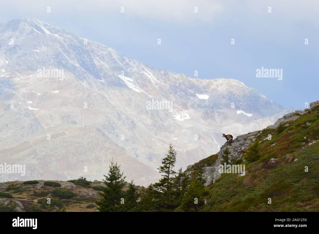 Monte luco -Fotos und -Bildmaterial in hoher Auflösung – Alamy