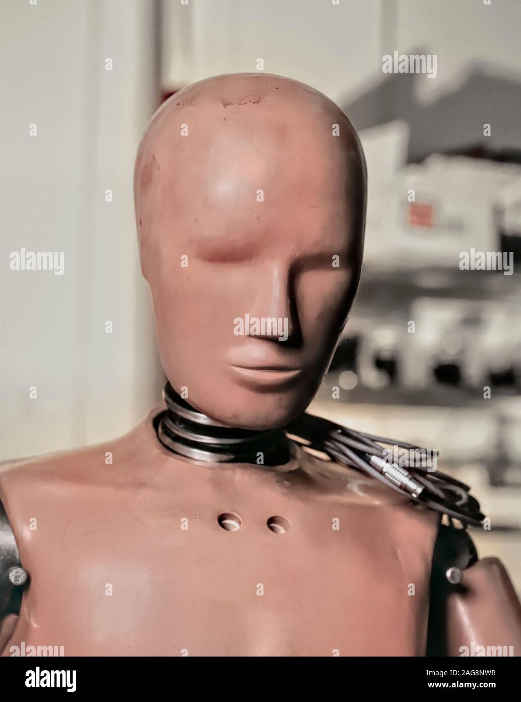 Der Kopf einer EuroSID Side-impact Crash Test Dummy Stockfotografie - Alamy