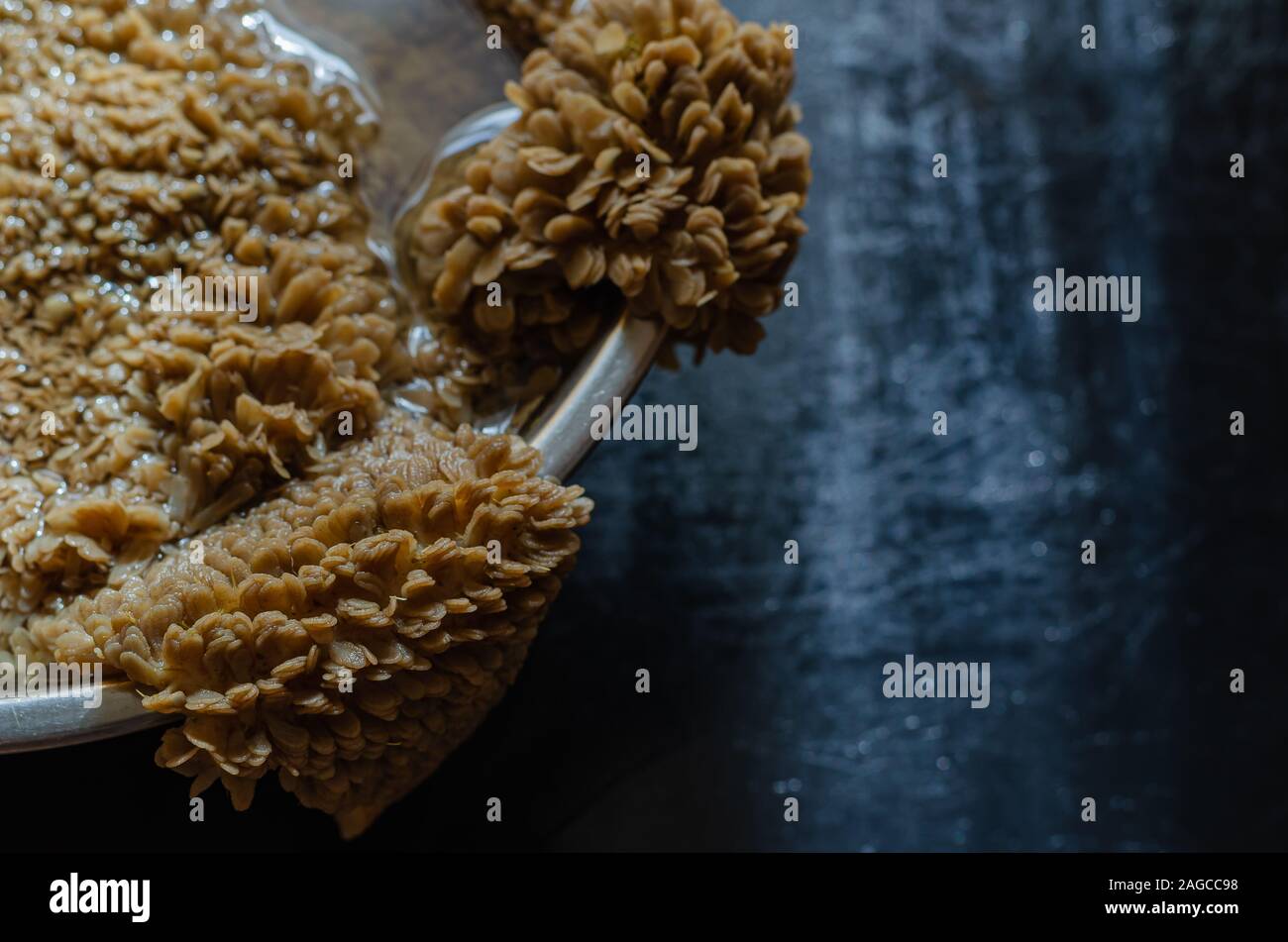 Gesundes rindfleischproduktionssystem -Fotos und -Bildmaterial in hoher ...