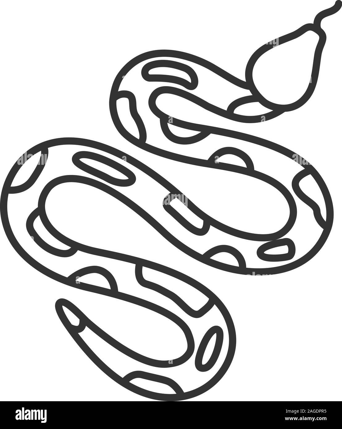Python lineare Symbol. Dünne Linie Abbildung. Schlange. Boa Constrictor ... Python lineare Symbol. Dünne Linie Abbildung. Schlange. Boa Constrictor ...