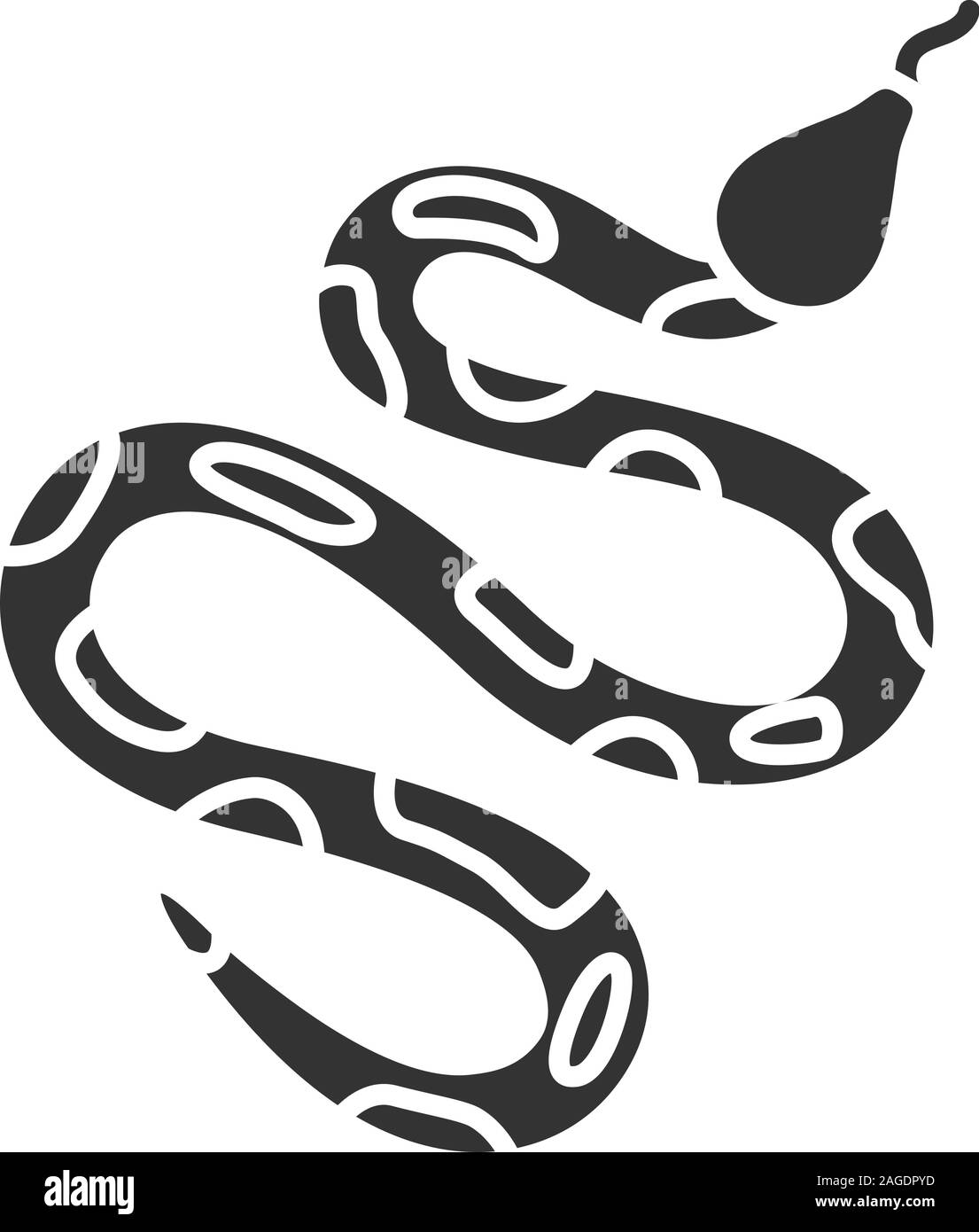 Python glyph Icon. Schlange. Boa Constrictor. Silhouette Symbol ...