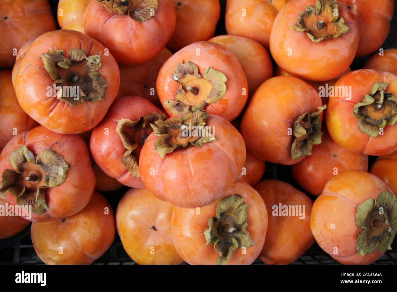 Diospyros kaki lycopersicum -Fotos und -Bildmaterial in hoher Auflösung ...