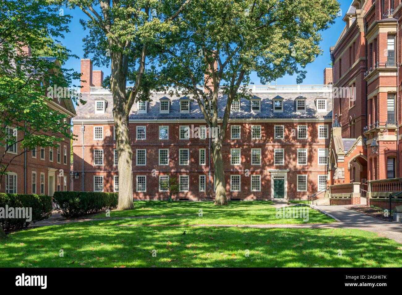Straus halle -Fotos und -Bildmaterial in hoher Auflösung – Alamy