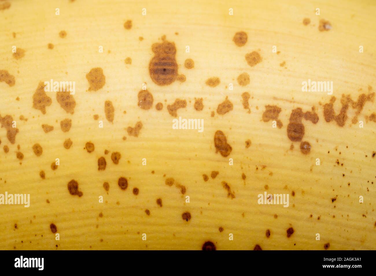 Gelbe prellung -Fotos und -Bildmaterial in hoher Auflösung – Alamy