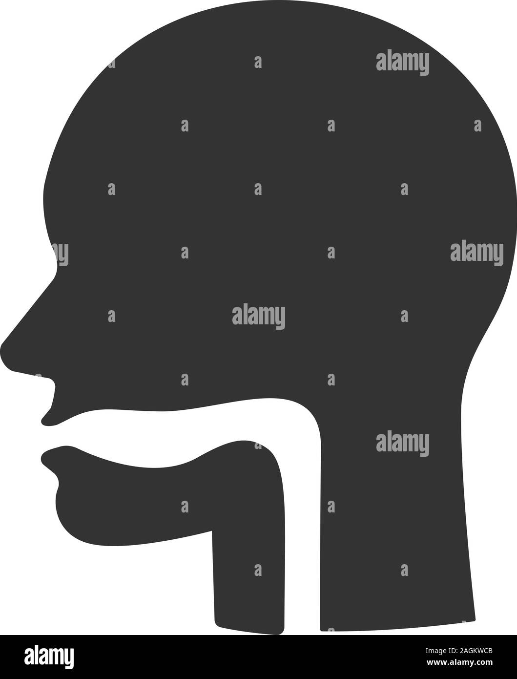 Alimentary canal -Fotos und -Bildmaterial in hoher Auflösung – Alamy